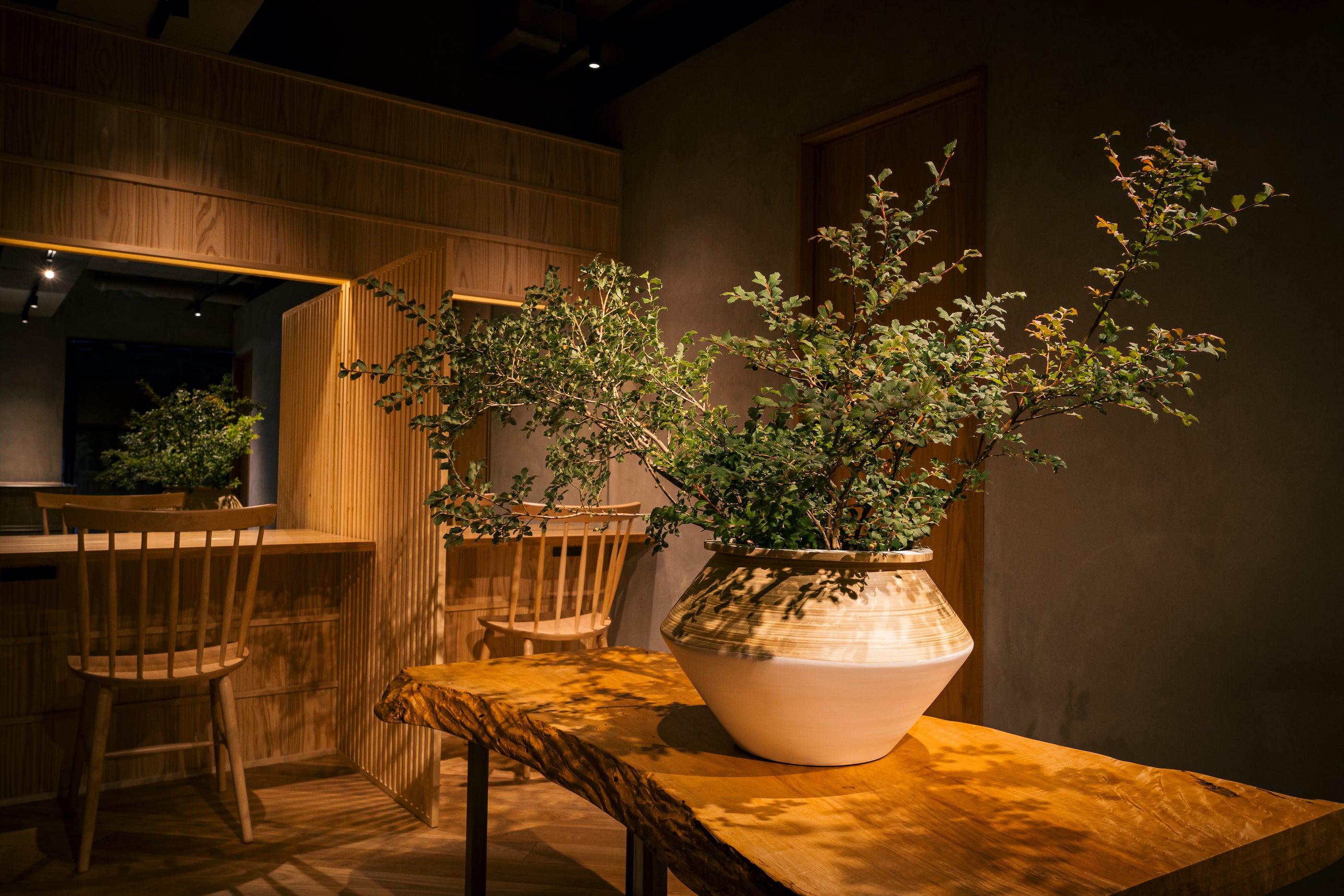 SOKI – SOKI head spa