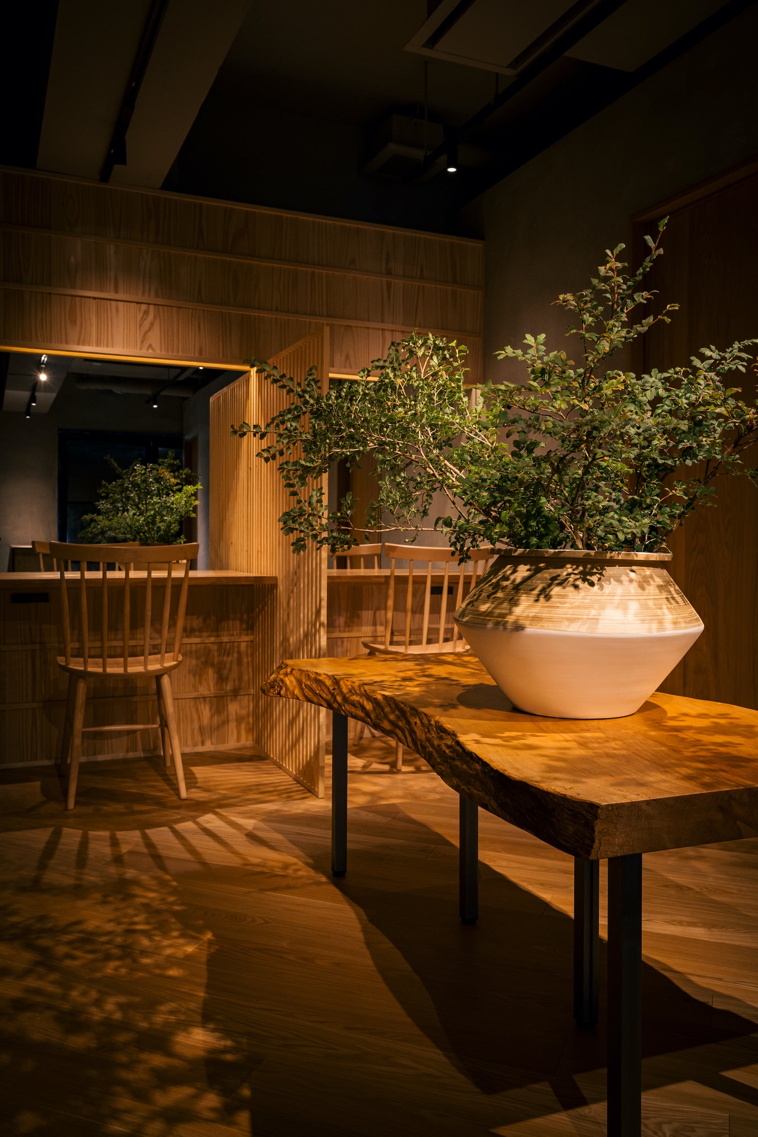 SOKI – SOKI head spa